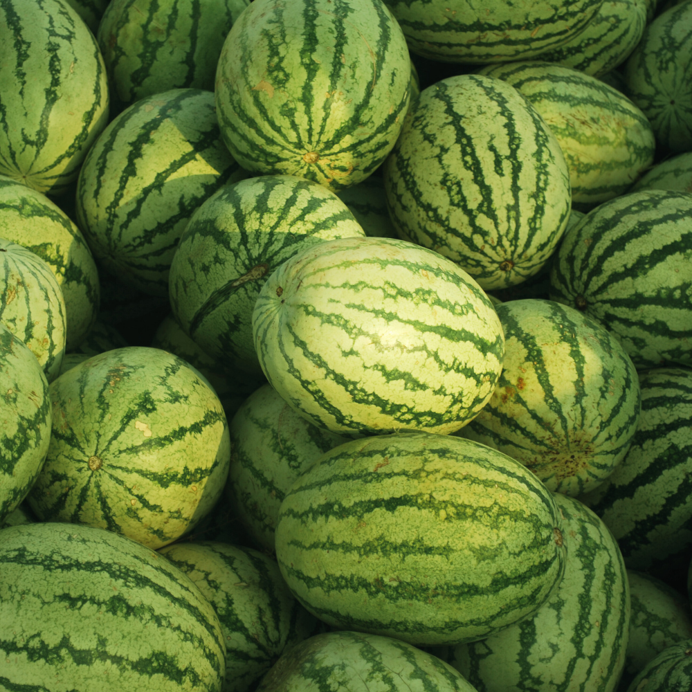 🍉Semințe Pepene – Vara nu e vară fără el | Fitza Florilor